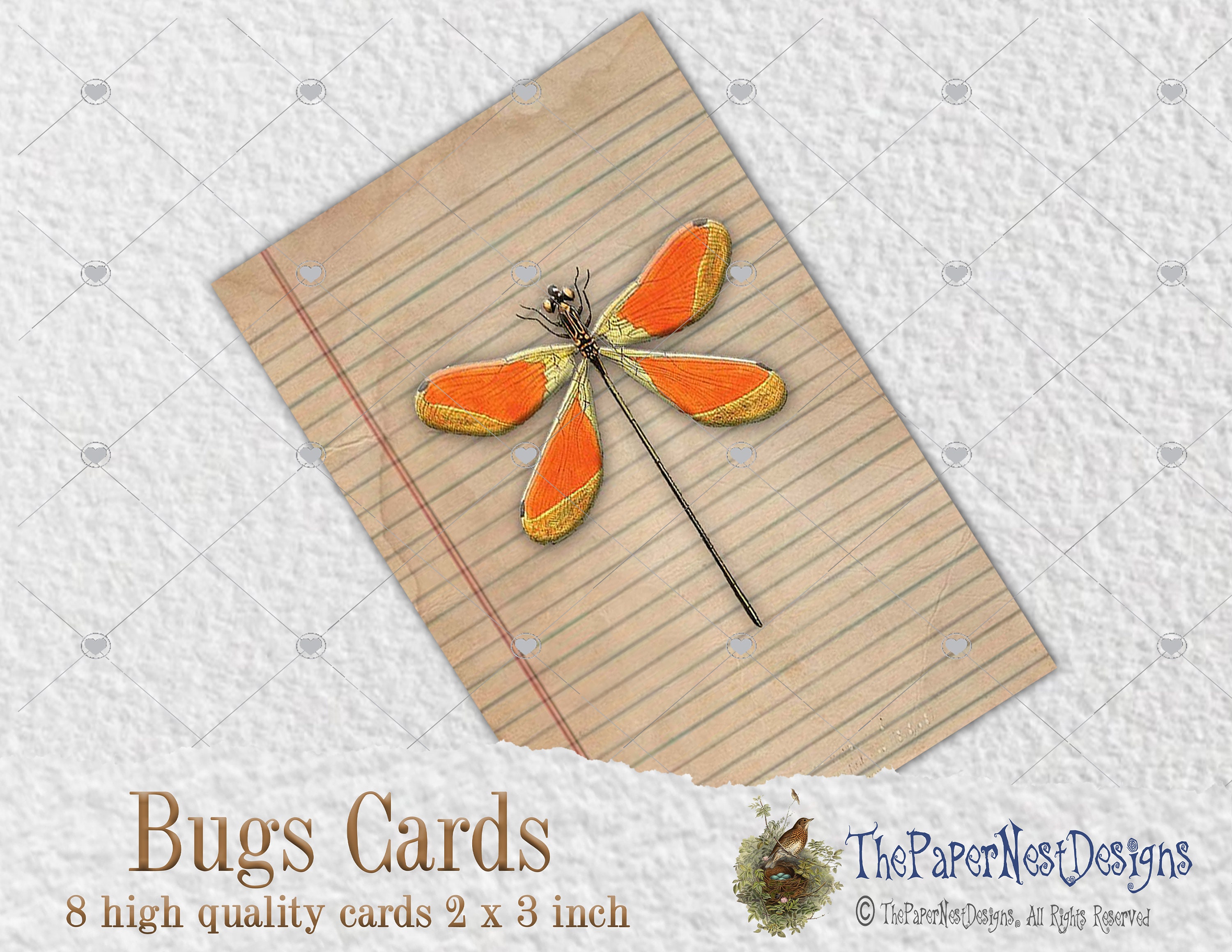 8 Bug Cards for Paper Craft, Printable Digital Cards, Instant Digital ...