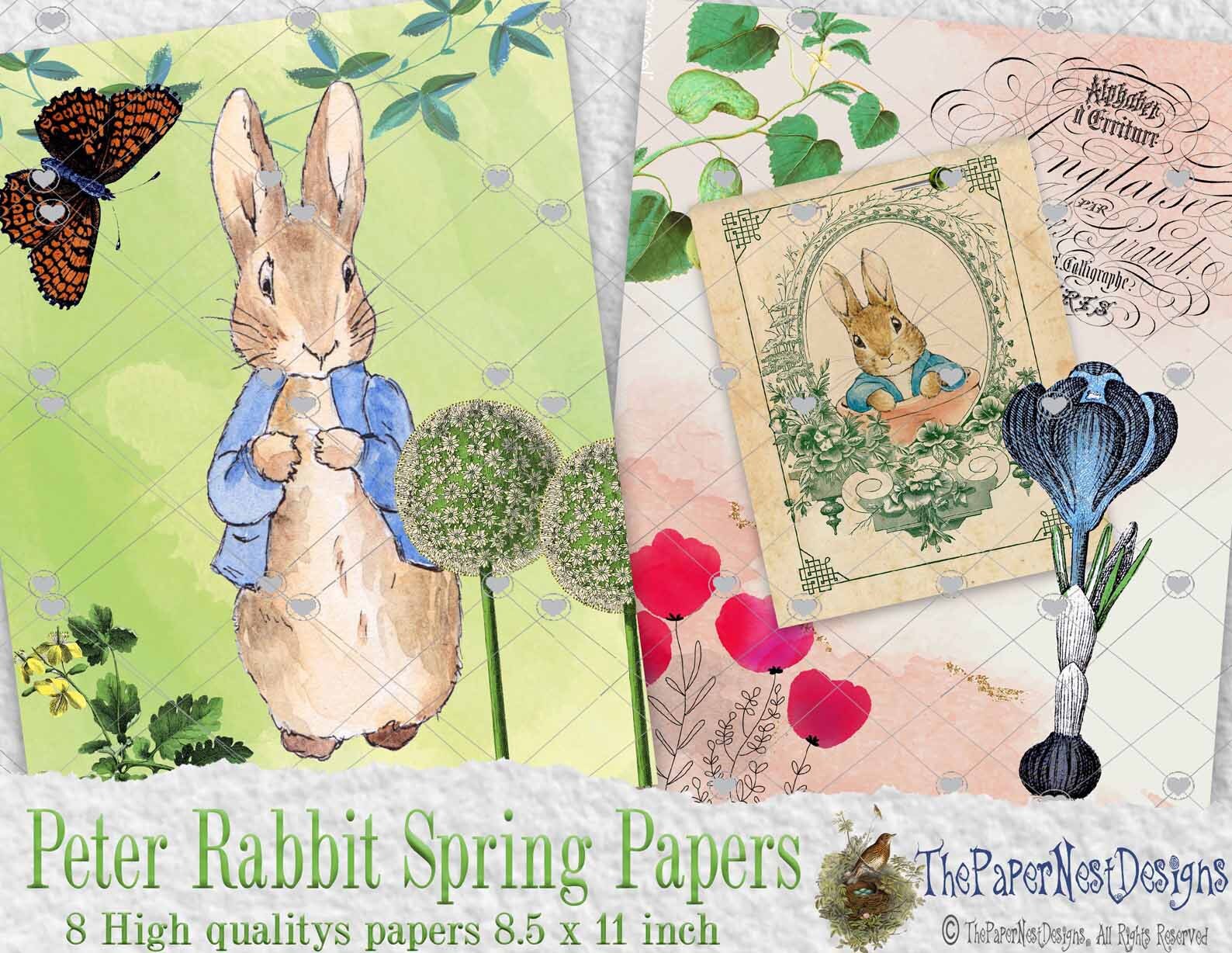 Peter Rabbit Papers Spring Papers Decorative Papers Beatrix - Etsy