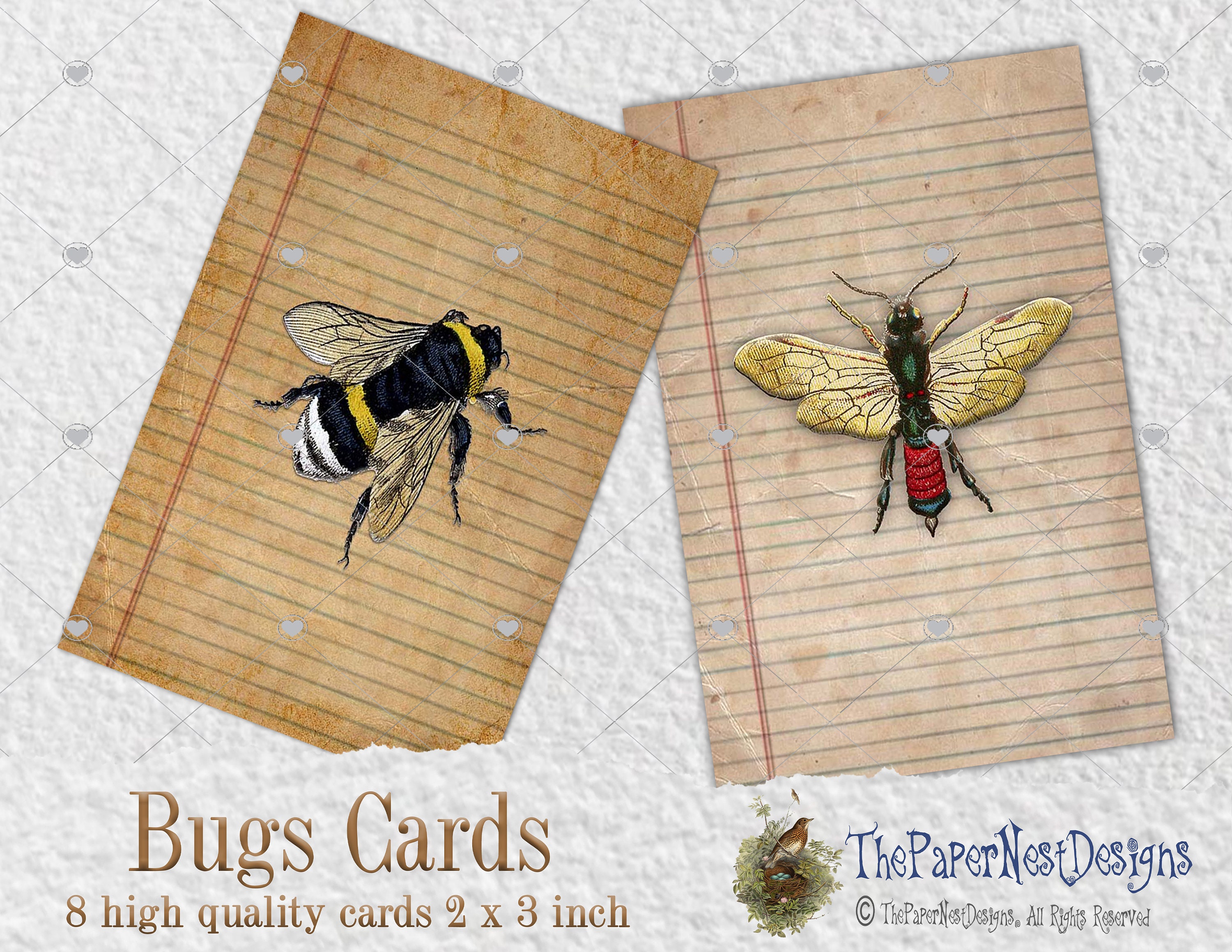8 Bug Cards for Paper Craft, Printable Digital Cards, Instant Digital ...
