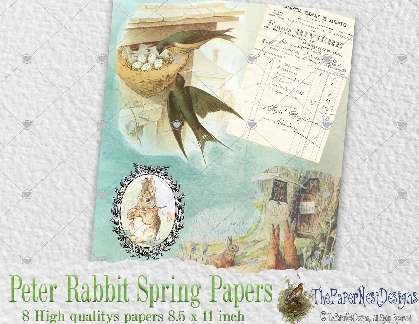Peter Rabbit Papers Spring Papers Decorative Papers Beatrix - Etsy