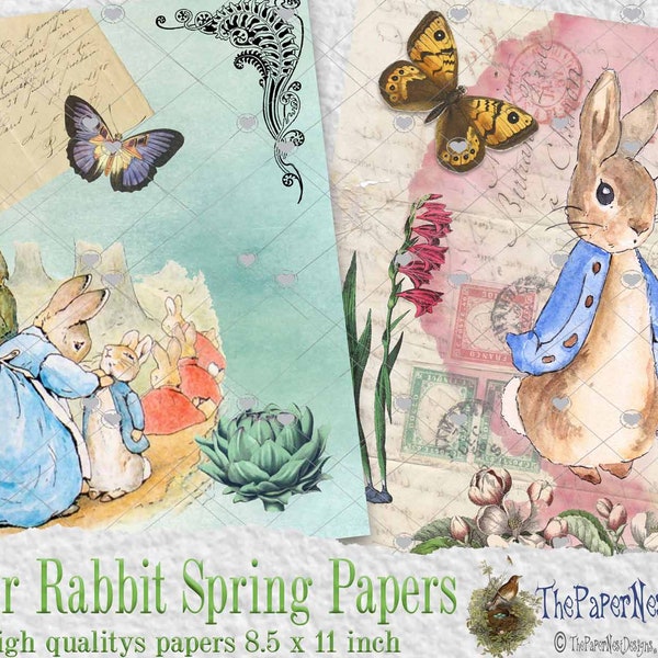 Peter Rabbit Papers - Etsy