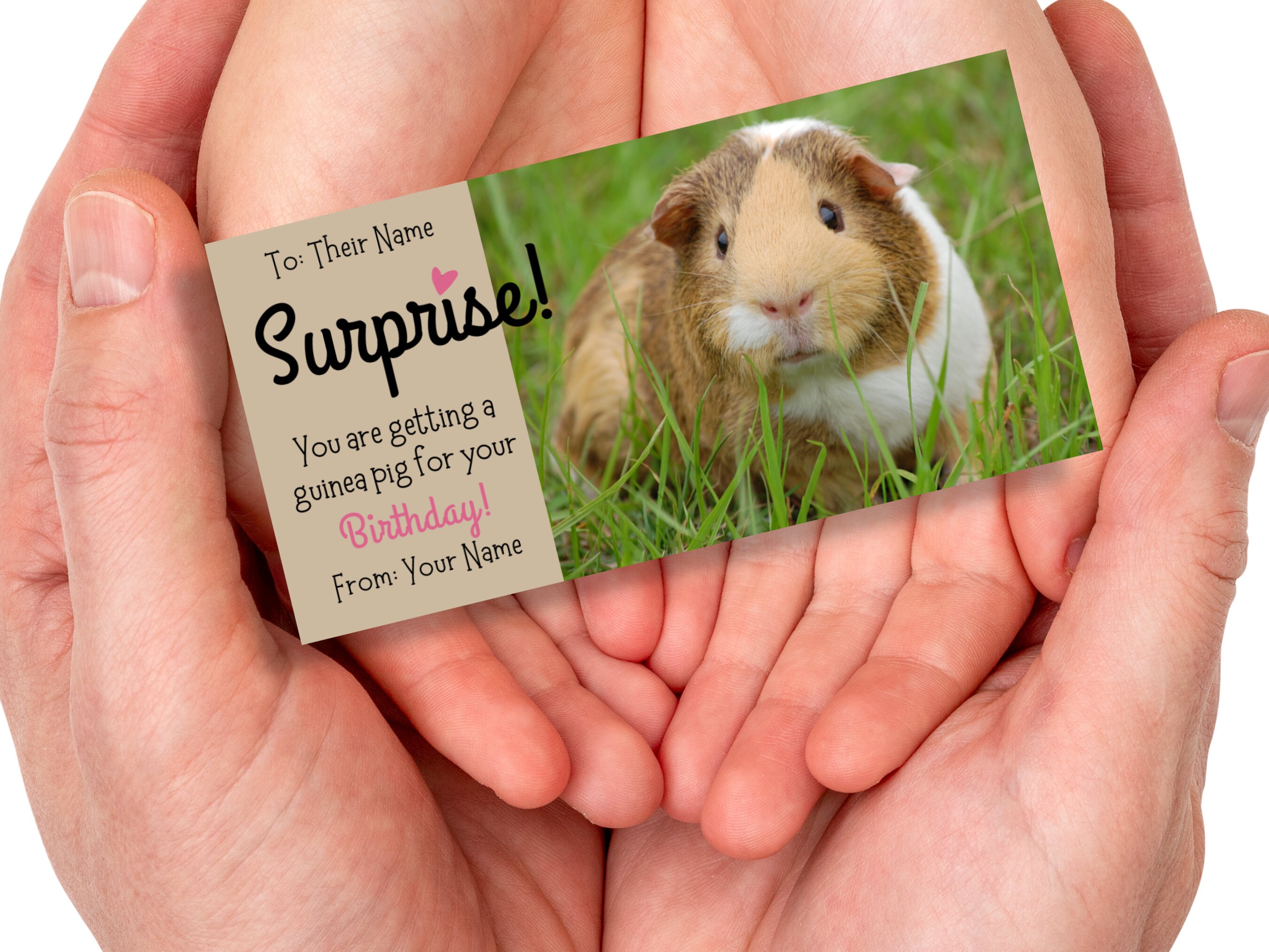 Hamster & Guinea Pig Gift Reveal Certificate, Surprise Gift Card, Pet ...