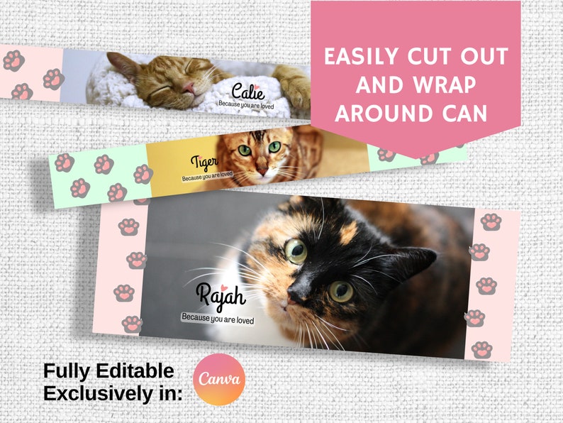 Personalized Cat Food Can Label, Unique Pet Gift, Fully Editable ...