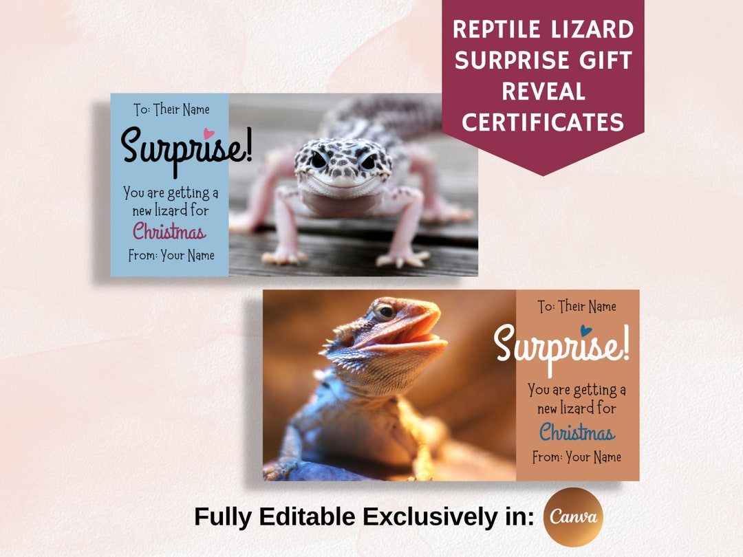 Reptile Gift Reveal Certificate, Best Christmas Holiday Gift, Surprise ...