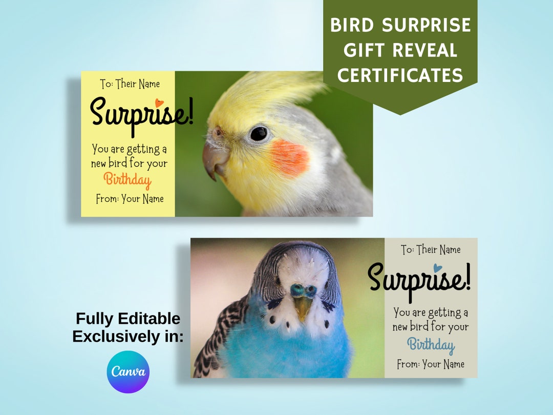 Bird Gift Reveal Certificate, Surprise Gift Card, Getting Pet Bird ...