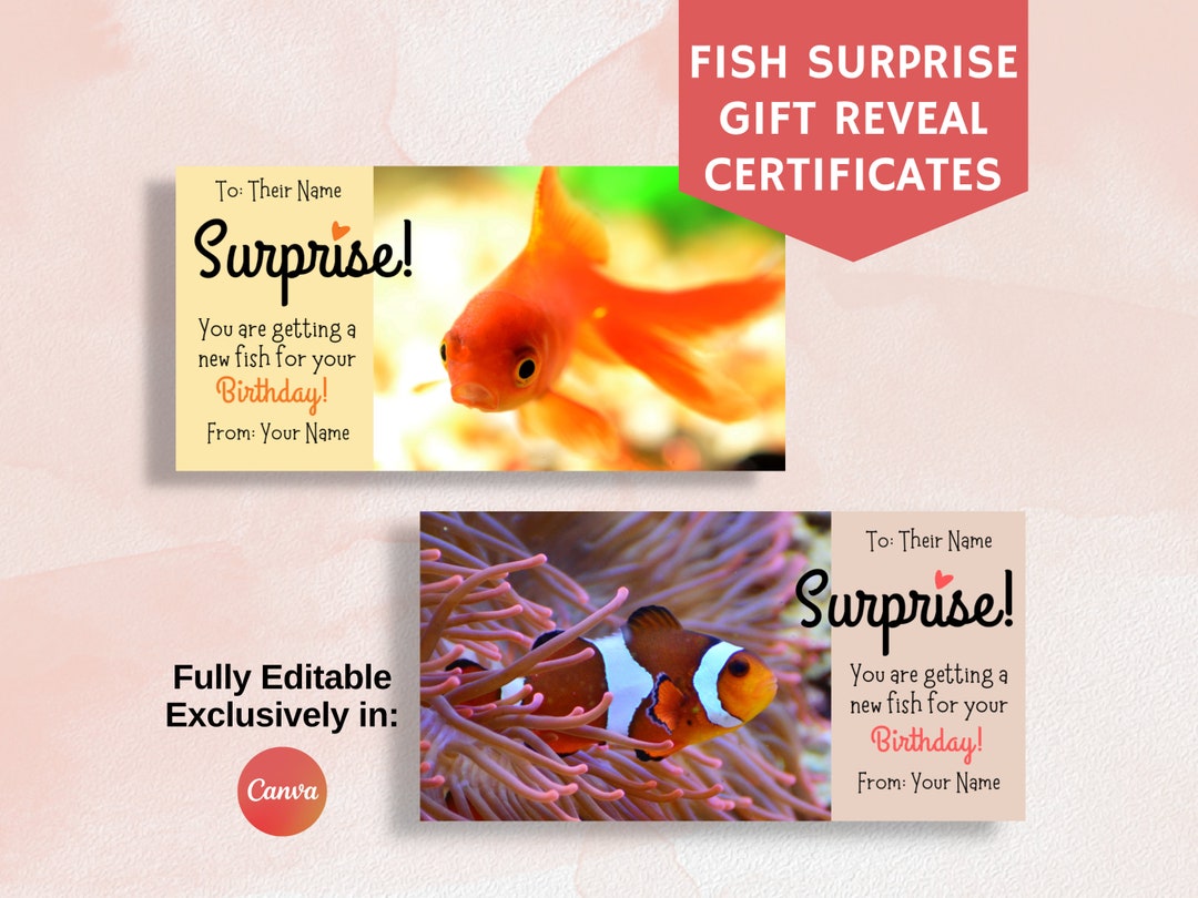 Fish Gift Reveal Certificate, Surprise Gift Card, Getting Pet Fish ...