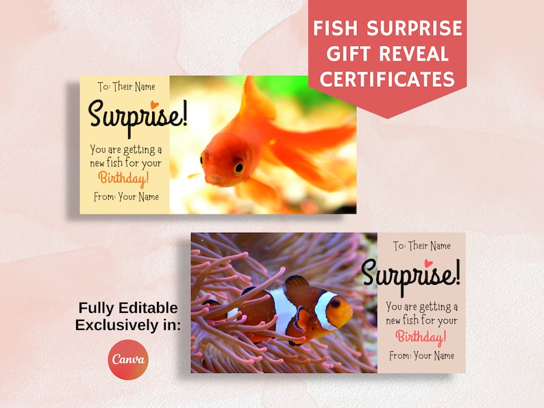 Fish Gift Reveal Certificate, Surprise Gift Card, Getting Pet Fish ...