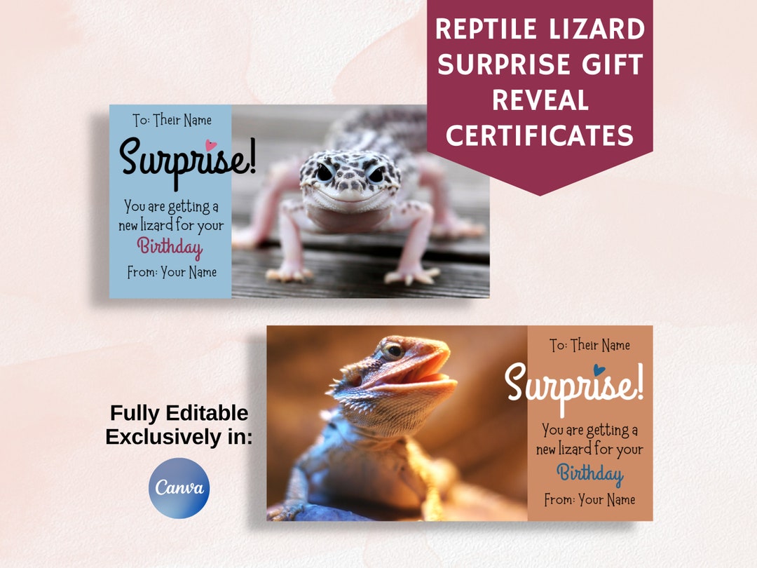 Reptile Gift Reveal Certificate, Surprise Gift Card, Getting Pet Lizard ...