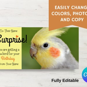 Bird Gift Reveal Certificate, Surprise Gift Card, Getting Pet Bird ...