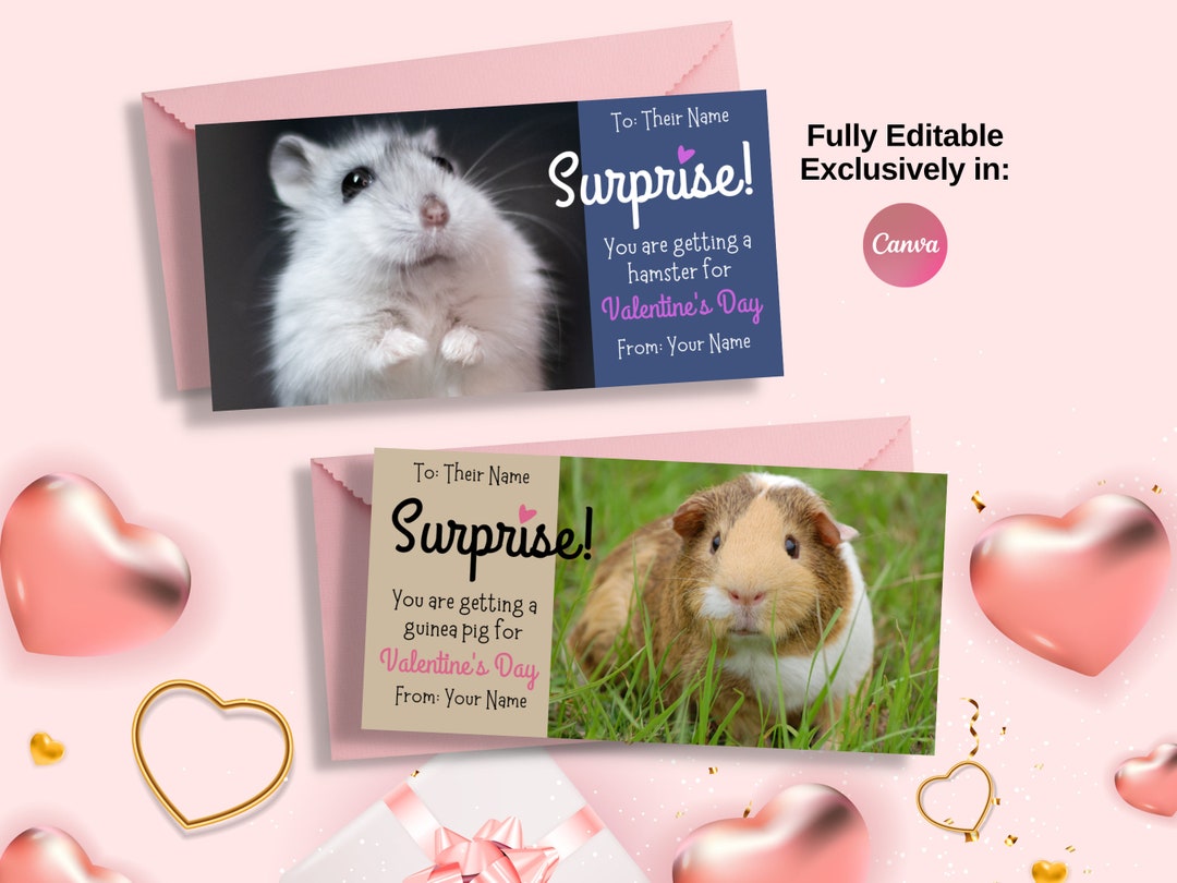 Hamster & Guinea Pig Gift Reveal Certificate, Best Valentine's Day Gift ...