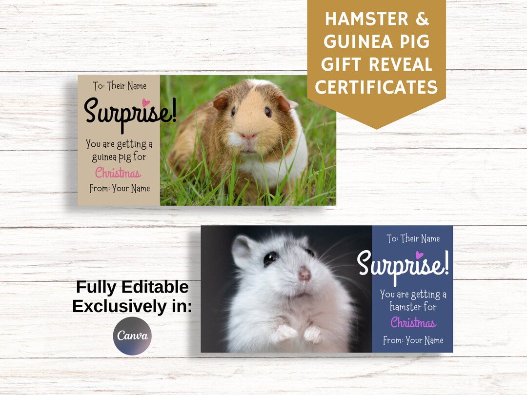 Hamster & Guinea Pig Gift Reveal Certificate, Best Christmas Holiday ...