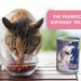 Personalized Cat Food Can Label, Unique Pet Gift, Fully Editable ...