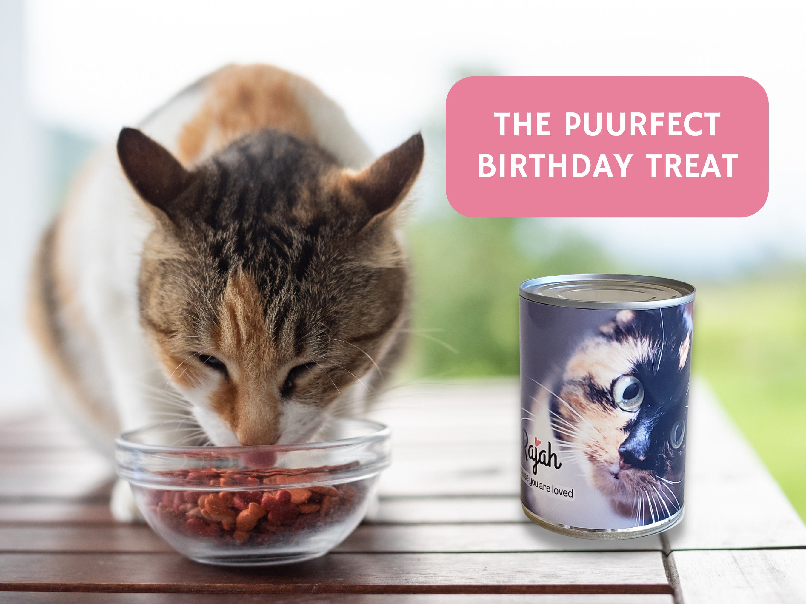 Personalized Cat Food Can Label, Unique Pet Gift, Fully Editable ...