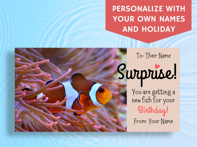 Fish Gift Reveal Certificate, Surprise Gift Card, Getting Pet Fish ...
