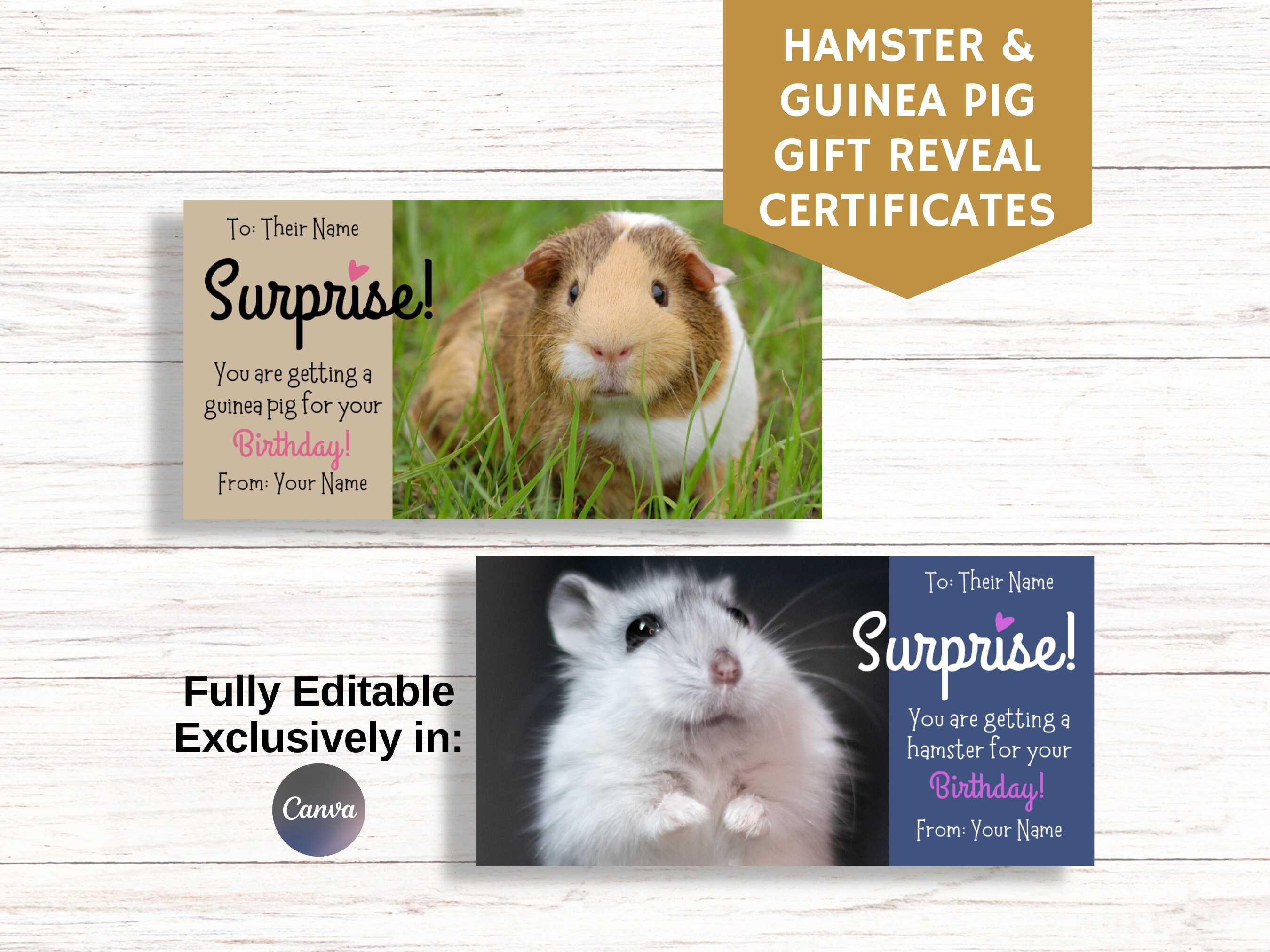 Hamster & Guinea Pig Gift Reveal Certificate, Surprise Gift Card, Pet ...