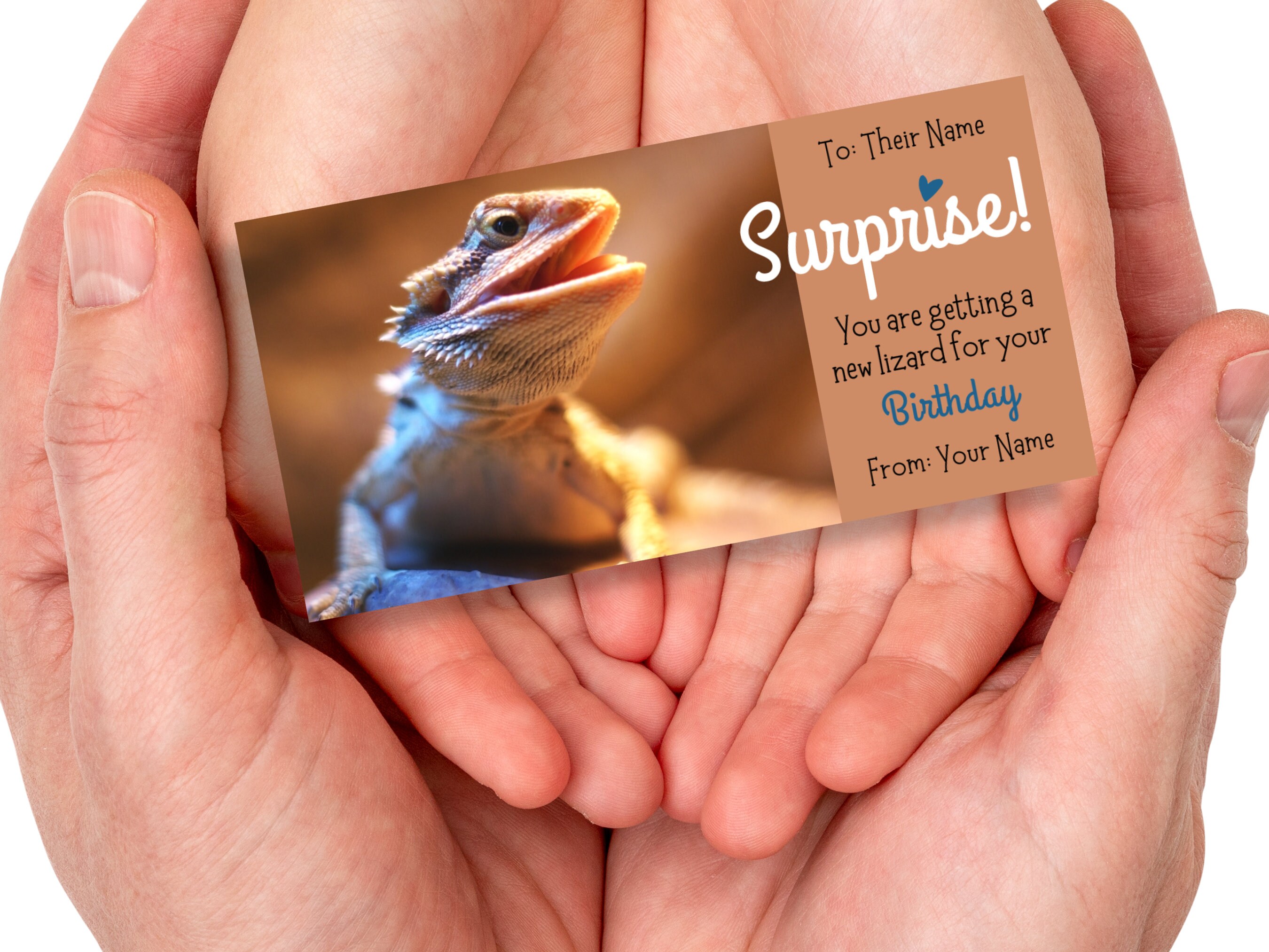 Reptile Gift Reveal Certificate, Surprise Gift Card, Getting Pet Lizard ...