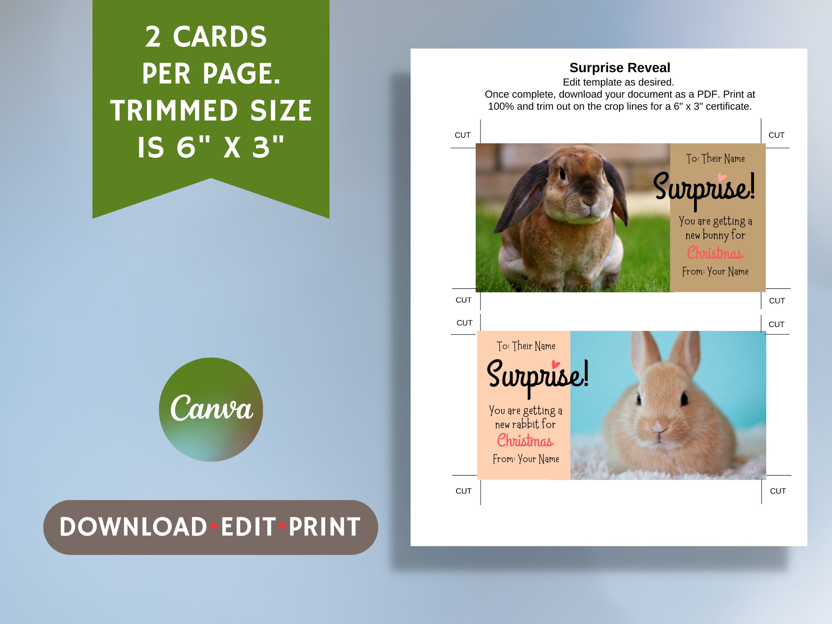 Bunny Rabbit Gift Reveal Certificate Best Christmas Holiday - Etsy