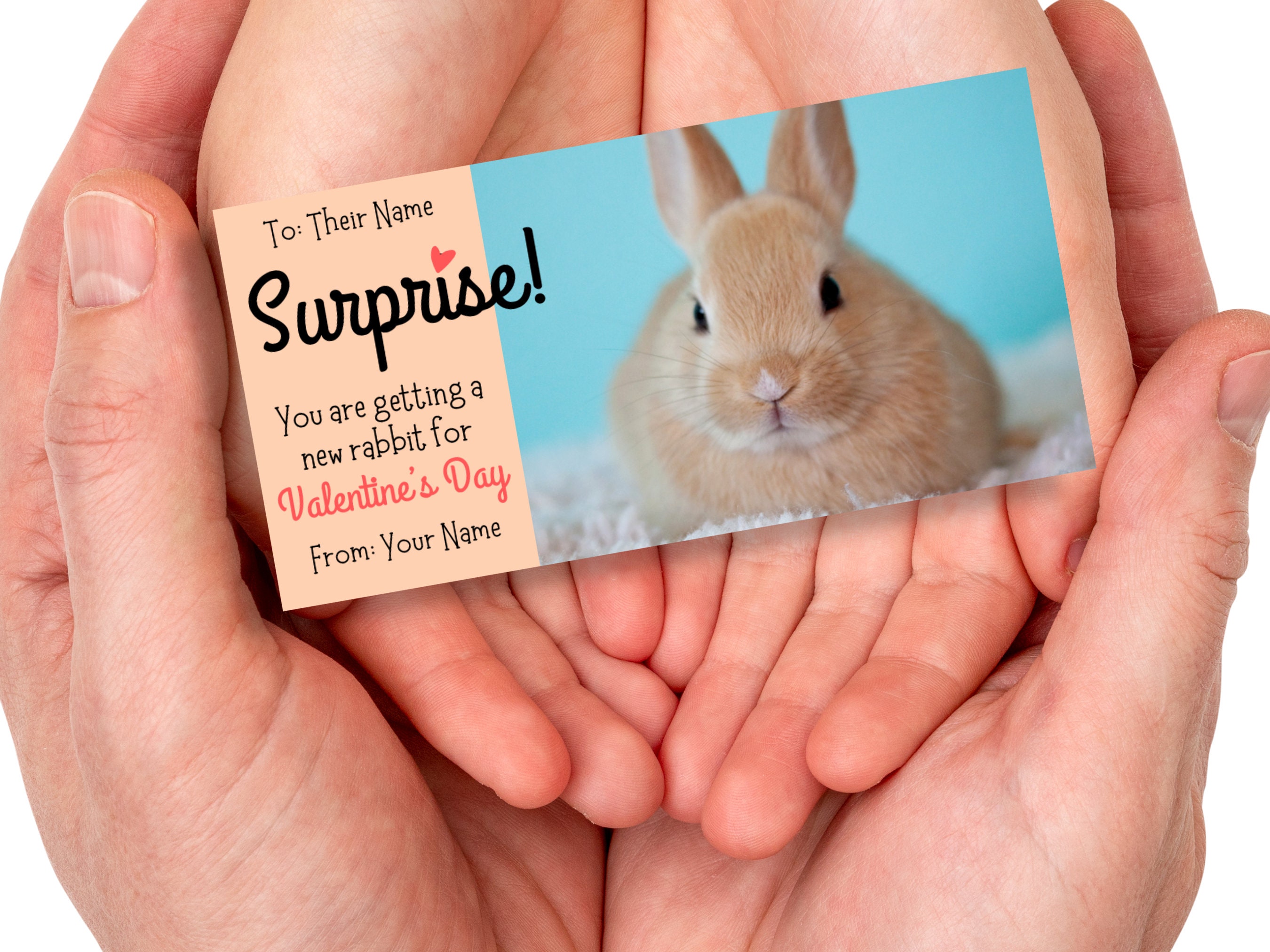 Bunny Rabbit Gift Reveal Certificate, Best Valentine's Day Gift Card ...