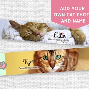 Personalized Cat Food Can Label, Unique Pet Gift, Fully Editable ...