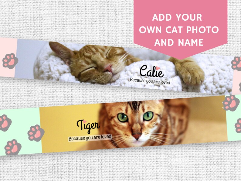 Personalized Cat Food Can Label, Unique Pet Gift, Fully Editable ...
