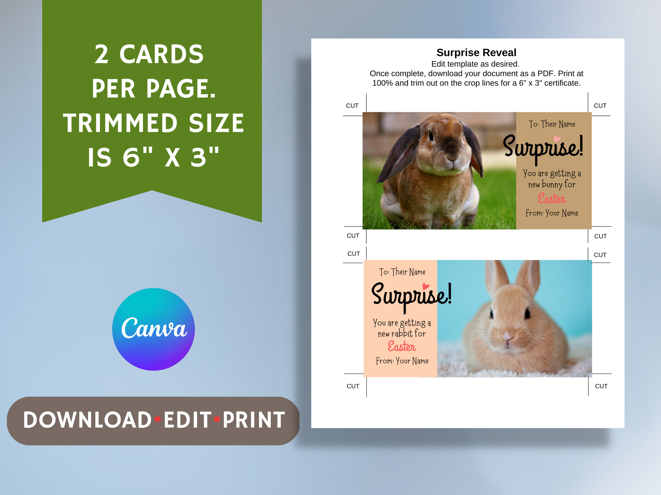 Bunny Rabbit Gift Reveal Certificate, Surprise Gift Card, Pet Bunny ...