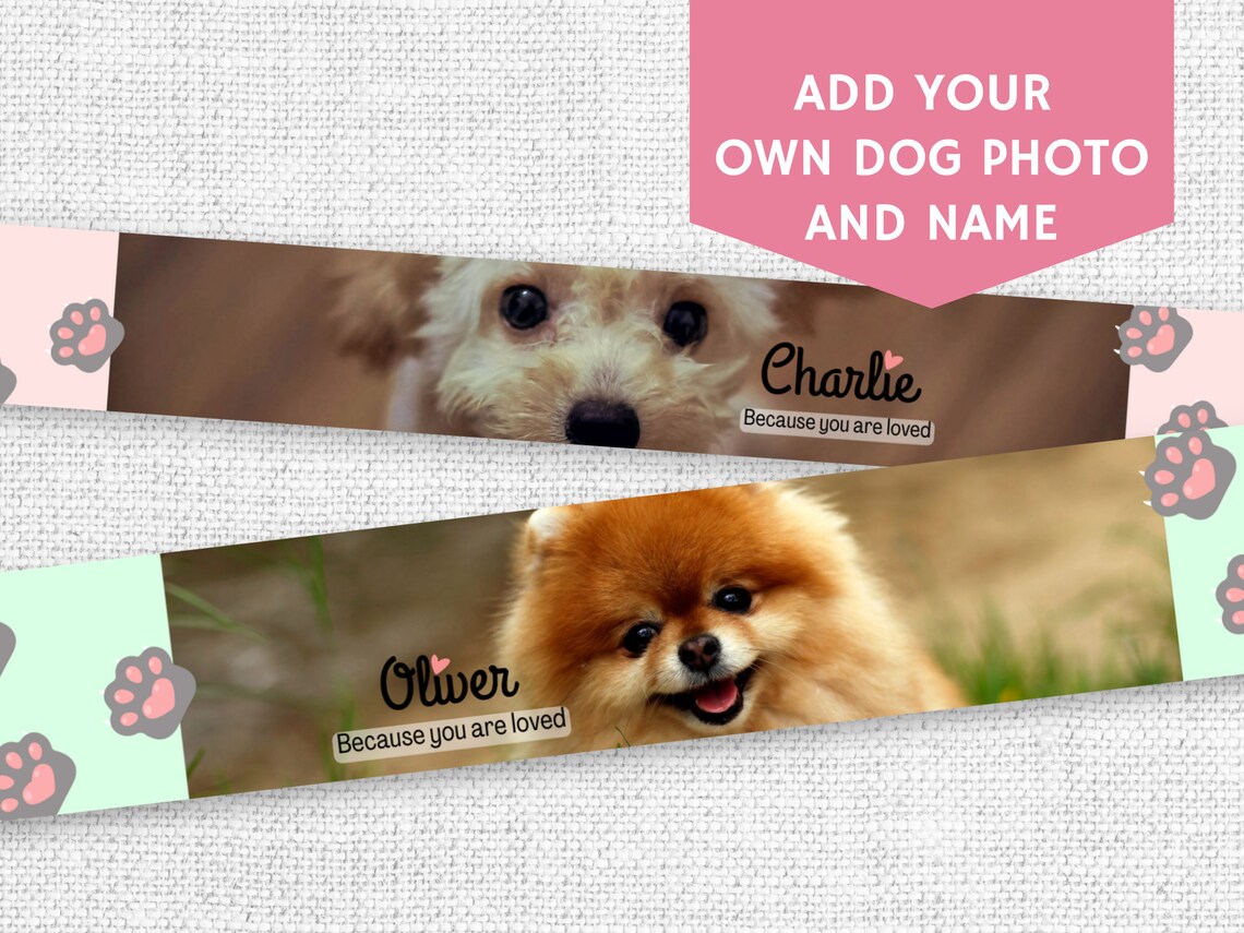 Personalized Dog Food Can Label, Unique Pet Gift, Doggie Day Care Label ...