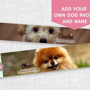 Personalized Dog Food Can Label, Unique Pet Gift, Doggie Day Care Label ...