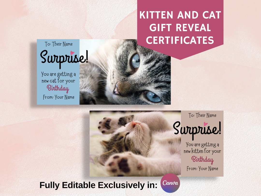 Kitten & Cat Gift Reveal Certificate, Surprise Gift Card, Getting Pet ...