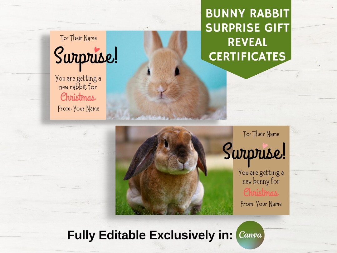 Bunny Rabbit Gift Reveal Certificate, Best Christmas Holiday Gift ...