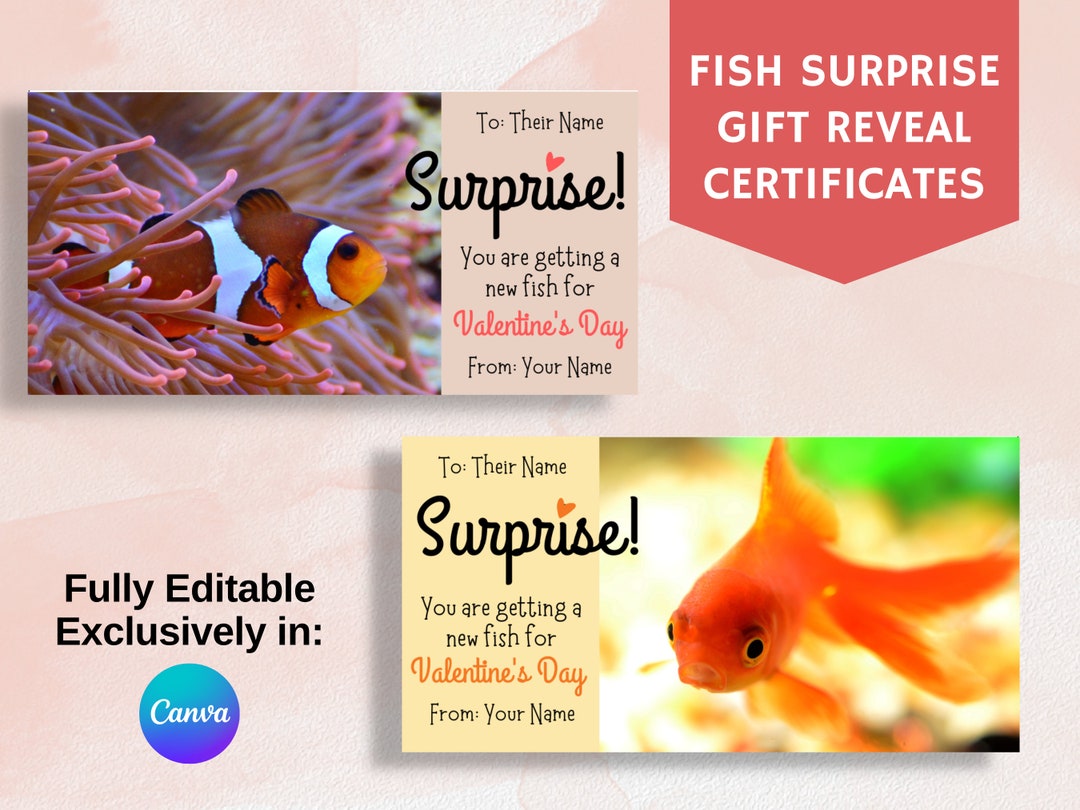 Fish Gift Reveal Certificate Surprise Gift Card Getting a - Etsy