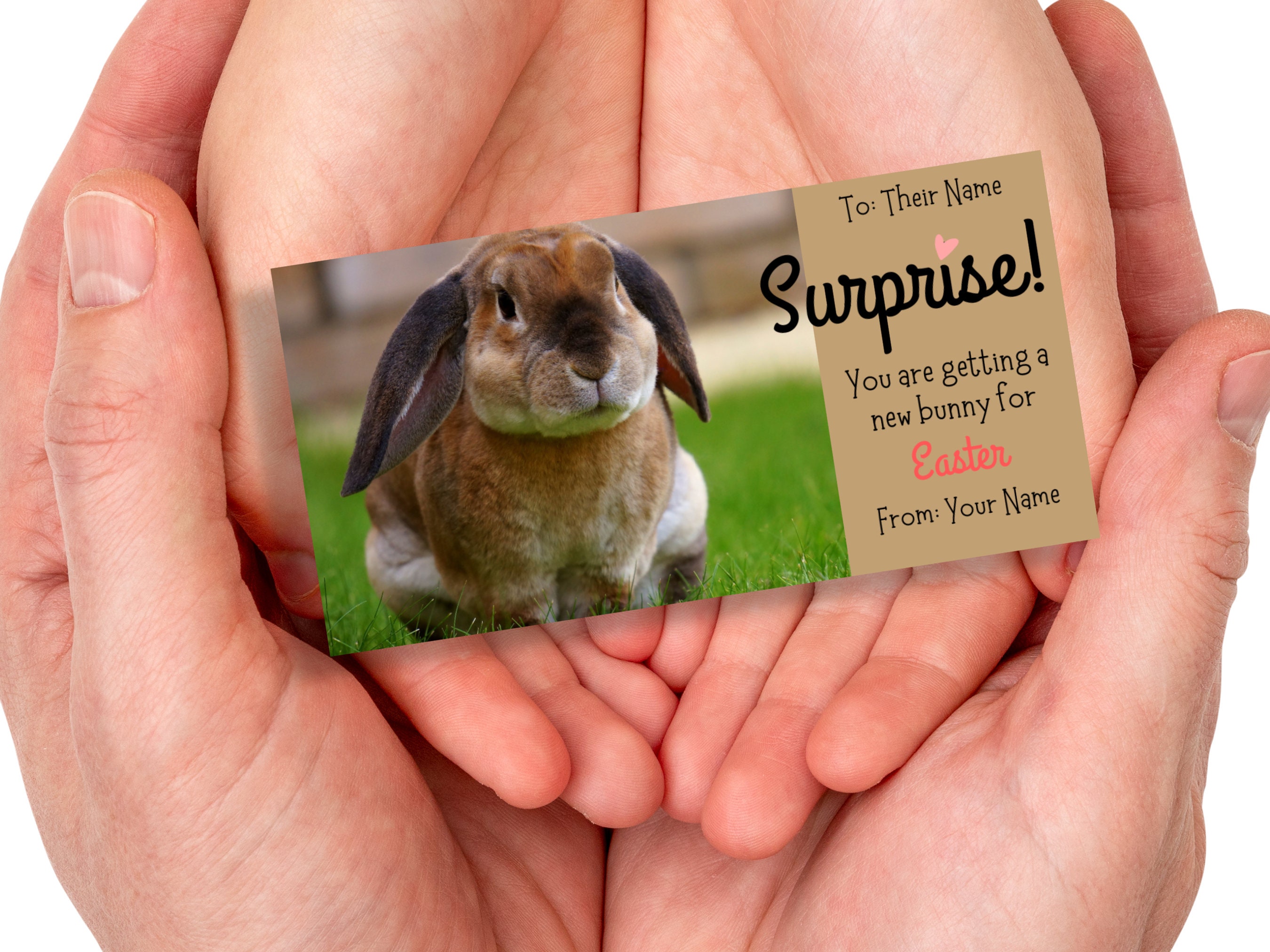 Bunny Rabbit Gift Reveal Certificate, Surprise Gift Card, Pet Bunny ...
