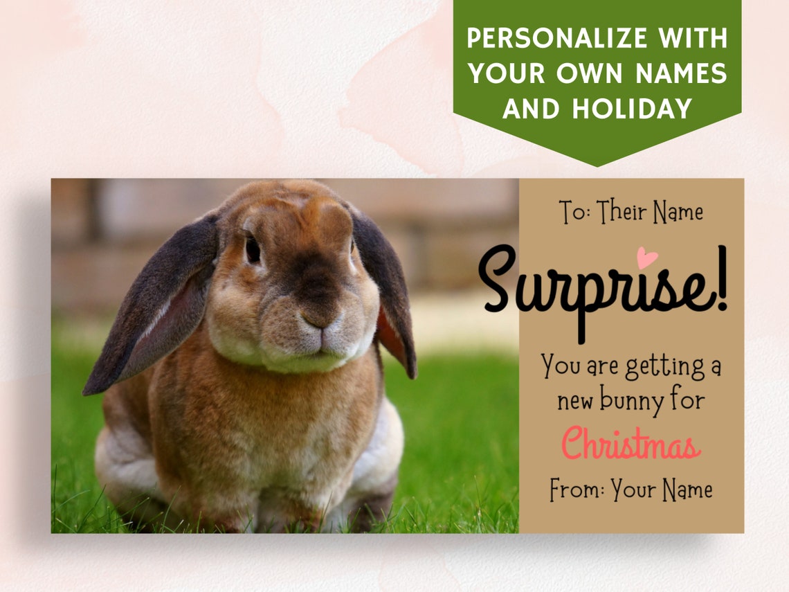Bunny Rabbit Gift Reveal Certificate, Best Christmas Holiday Gift ...