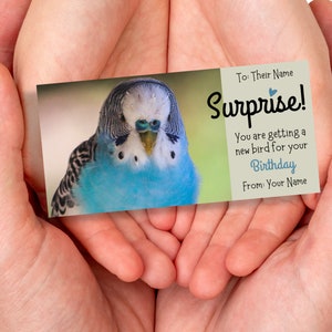 Bird Gift Reveal Certificate, Surprise Gift Card, Getting Pet Bird ...