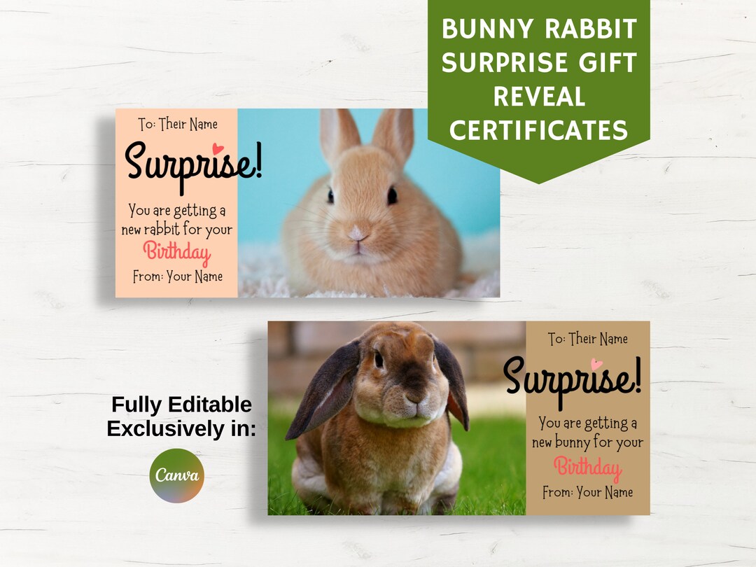 Bunny Rabbit Gift Reveal Certificate, Surprise Gift Card, Pet Bunny ...