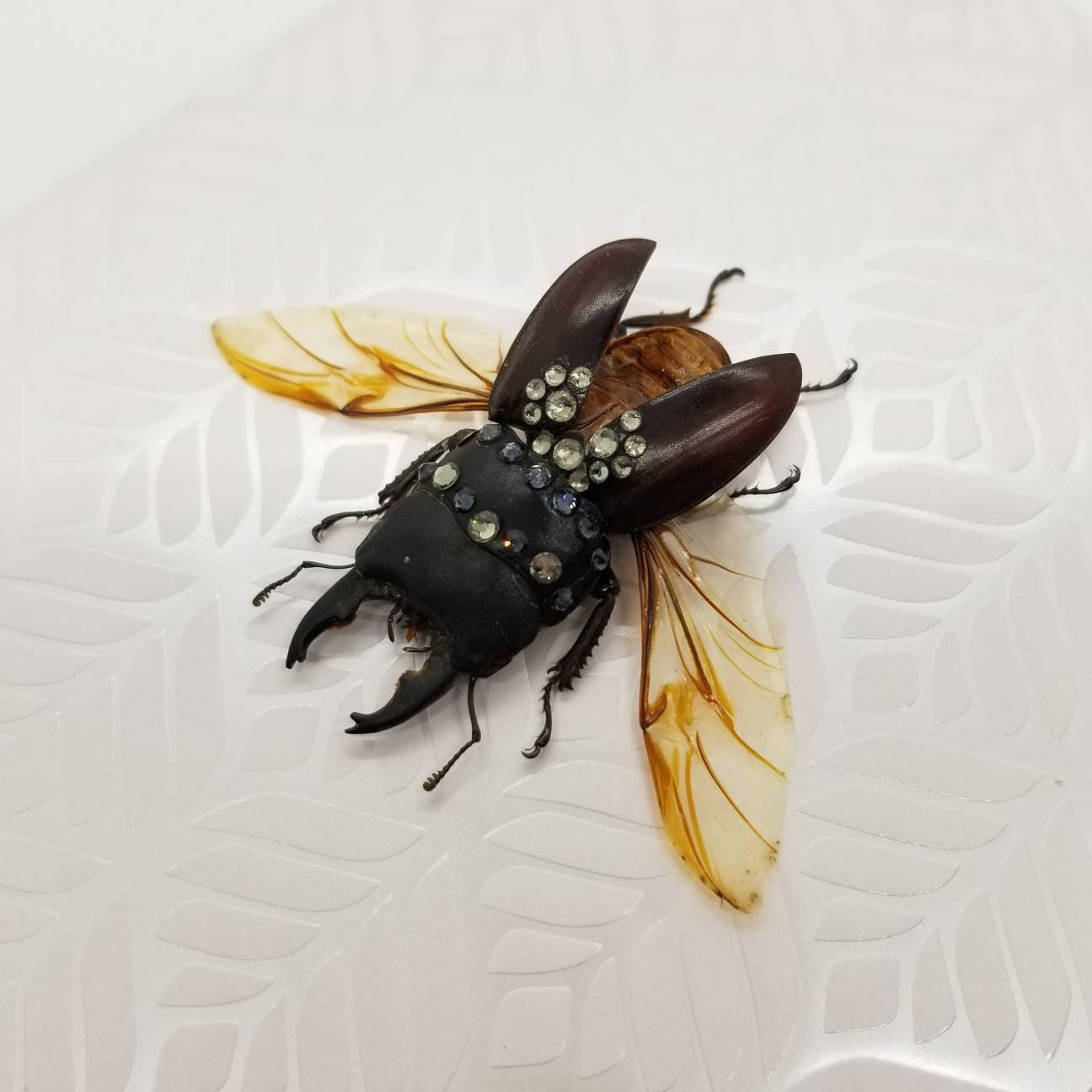 Real Stag Beetle With Swarovski Crystals - Etsy