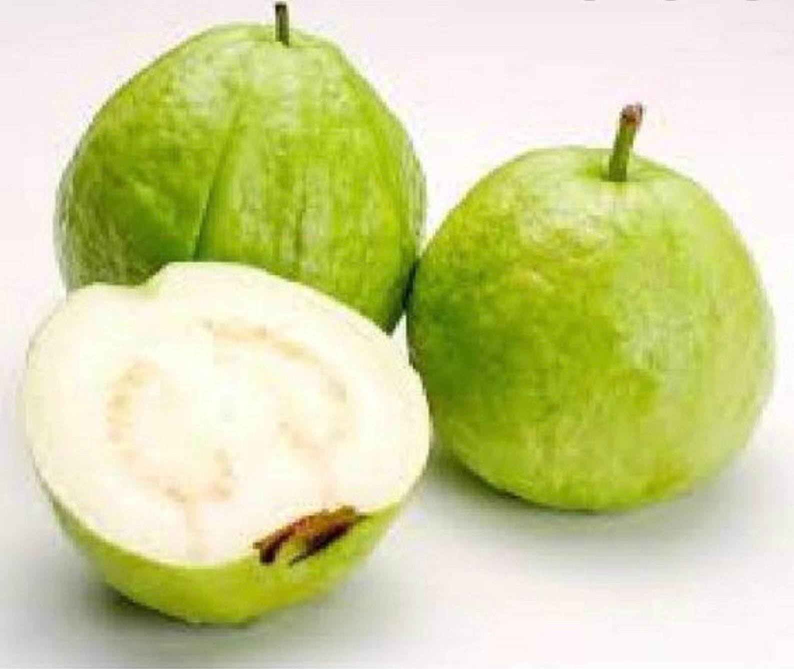 Thai Guava Live Tree 4 Feet Tall Air Layered Live Tree. No - Etsy
