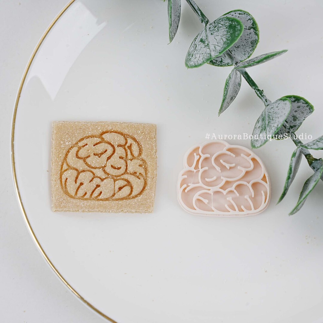 Human Brain Cookie Cutter, Funny Cookie Baking Mold, Novelty Clay ...