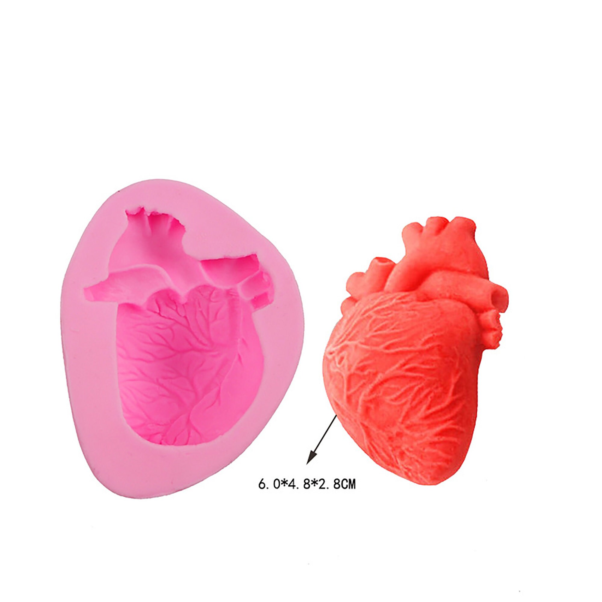 Heart Brain Silicone Moldhuman Organs Resin Moldcake Fondant - Etsy