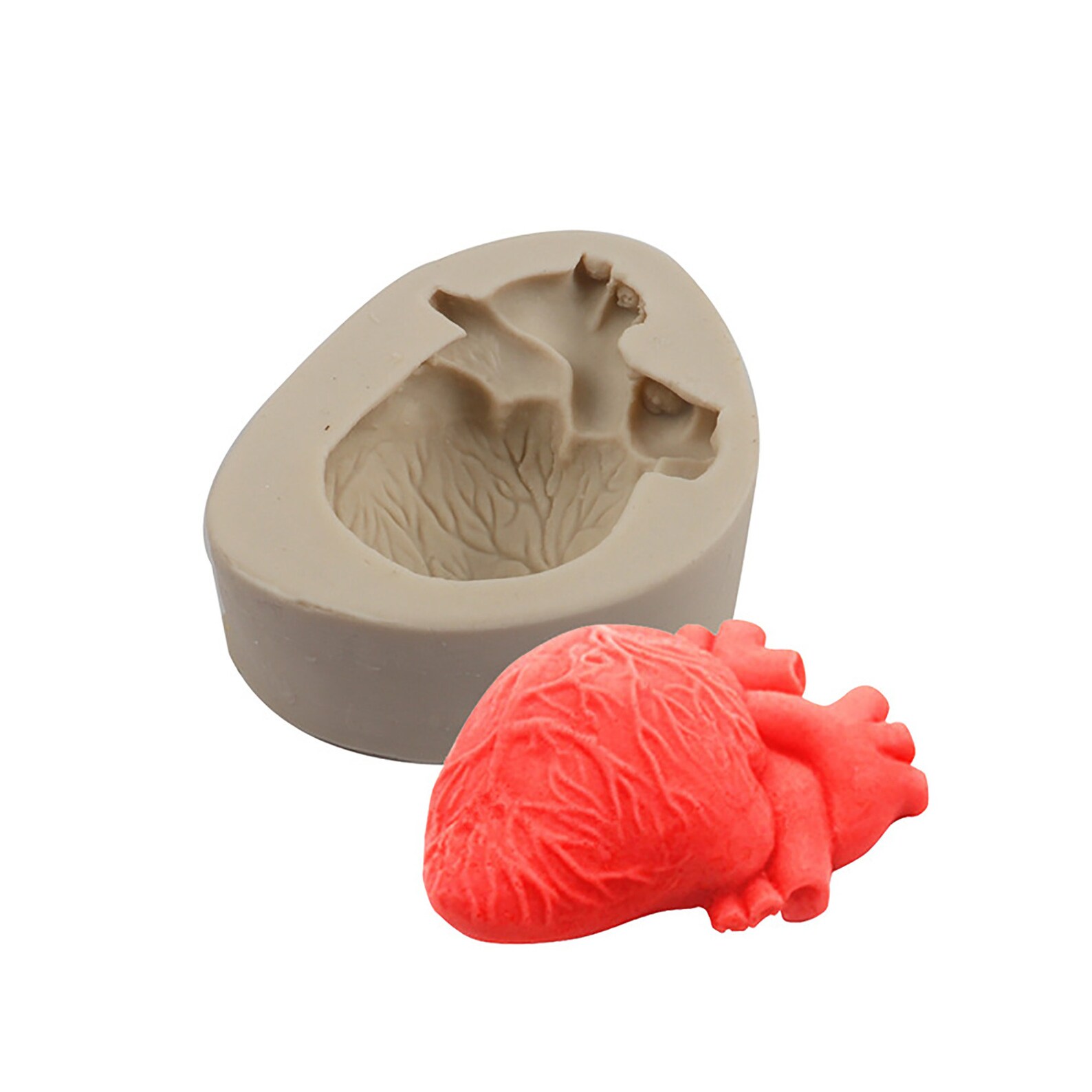 Heart Brain Silicone Moldhuman Organs Resin Moldcake Fondant - Etsy