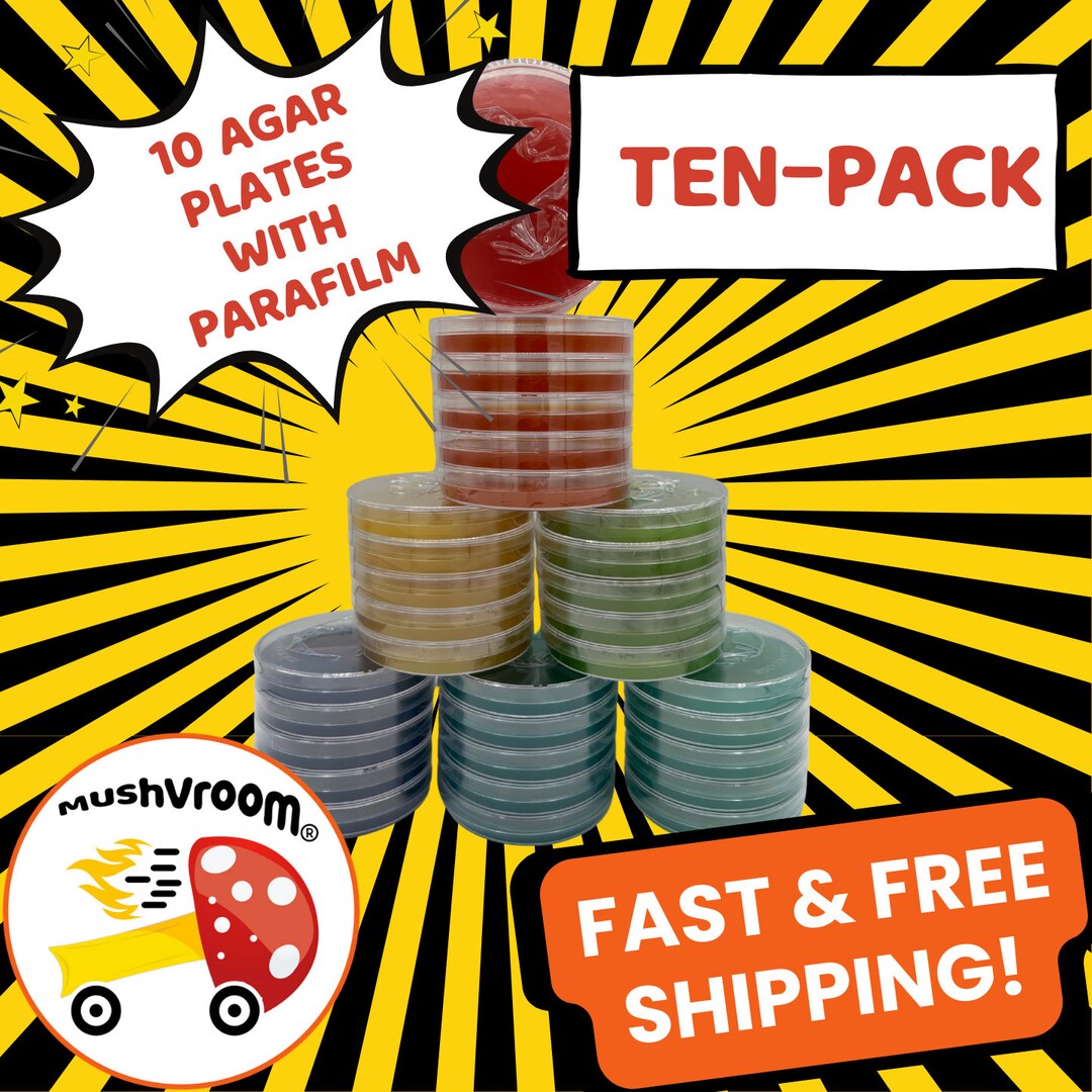 TEN PACK of Malt Yeast Agar MYA Colored Agar Plates for Mushroom ...