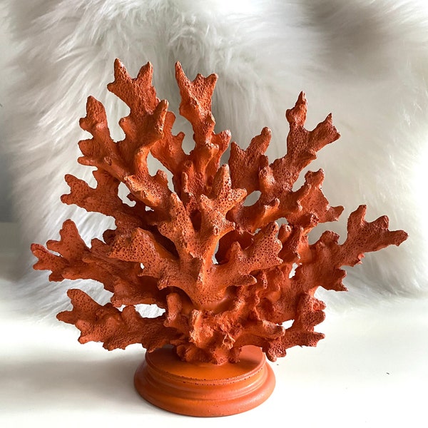 Coral Decor - Etsy
