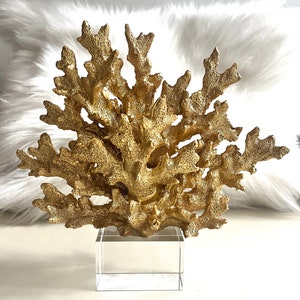 Decorative White Crystal Coral Reef, House Gift, Coral Object, Coral ...