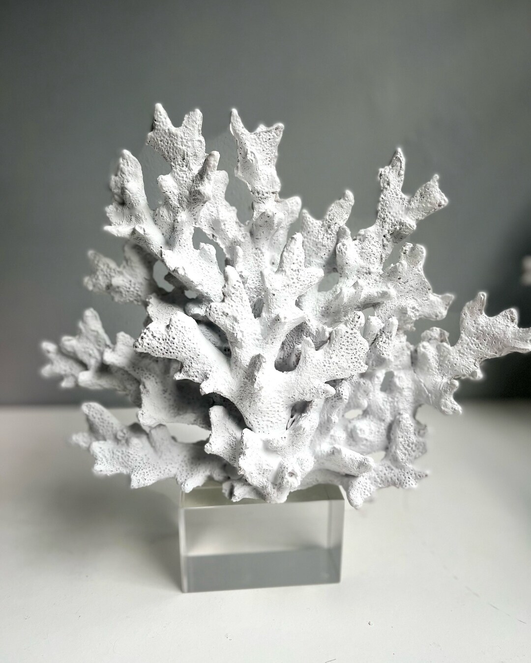 Decorative White Crystal Coral Reef, House Gift, Coral Object, Coral ...