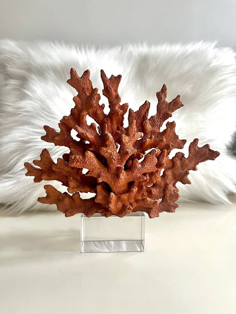 Black Crystalline Coral Reef Decor Valentines Gift for Her - Etsy