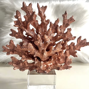 Decorative White Crystal Coral Reef, House Gift, Coral Object, Coral ...