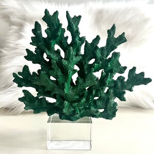 Decorative White Crystal Coral Reef, House Gift, Coral Object, Coral ...