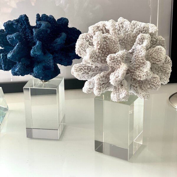 Coral Decor - Etsy
