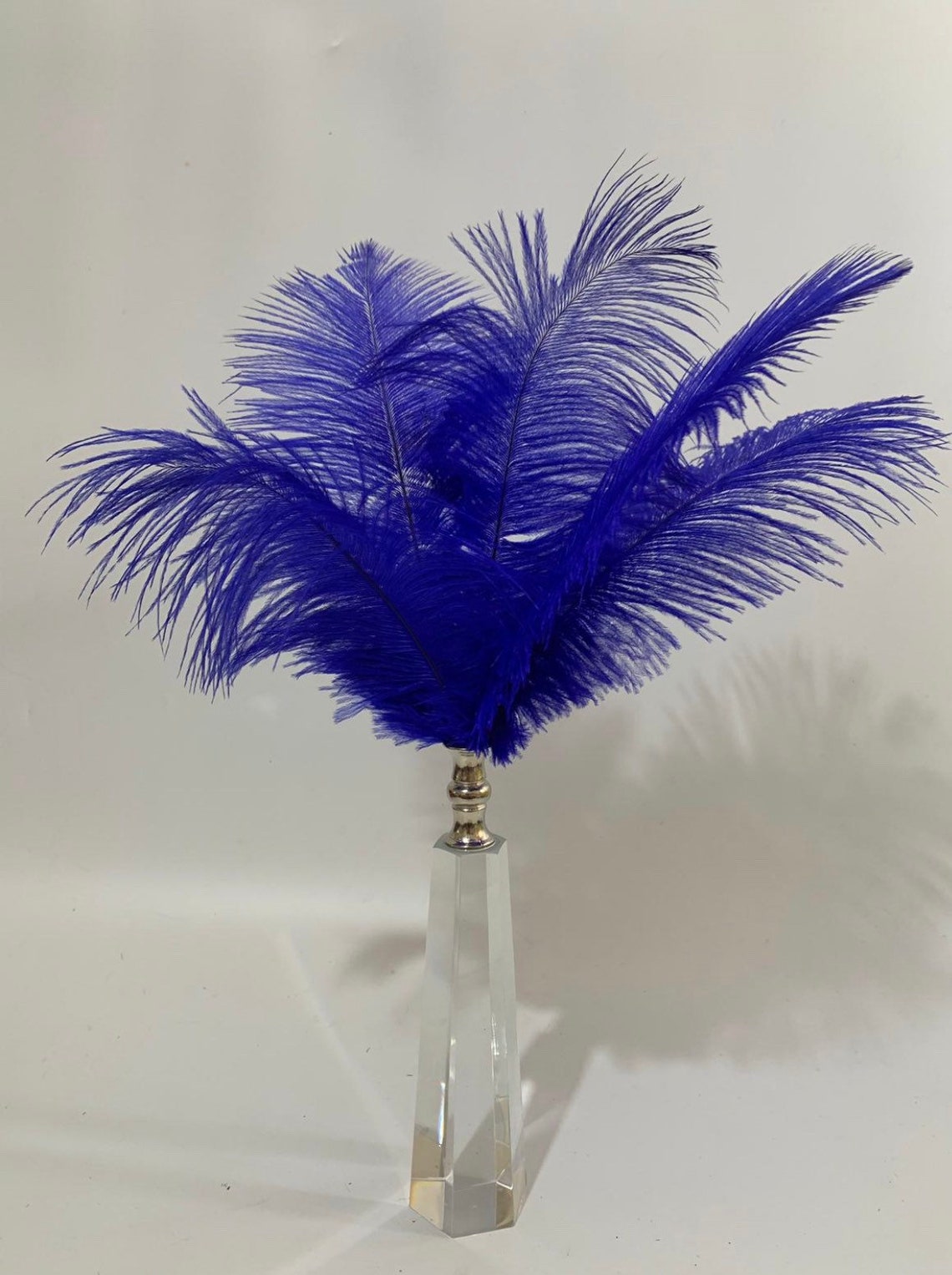 Crystalline Feather Decor Makeup Decor Home Decor | Etsy