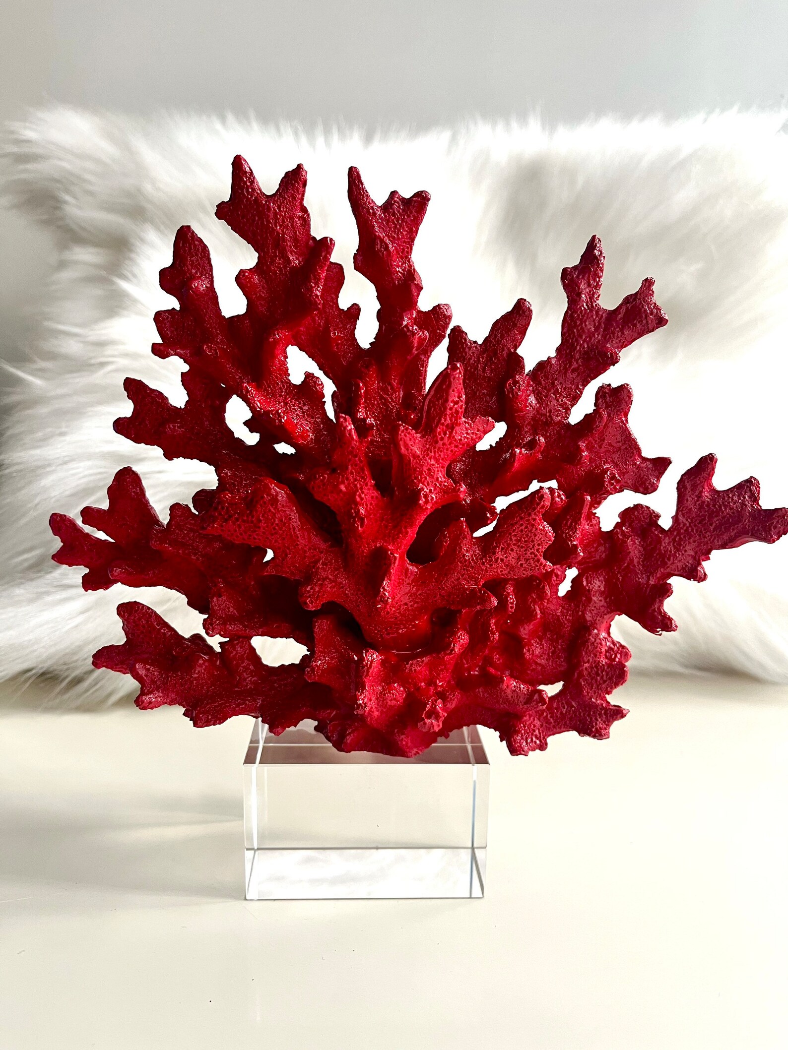 Black Crystalline Coral Reef Decor Valentines Gift for Her - Etsy