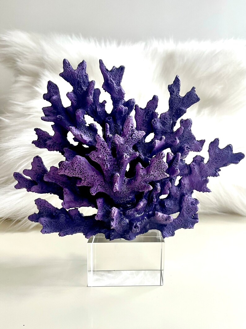 Black Crystalline Coral Reef Decor Valentines Gift for Her - Etsy